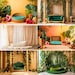 50 Pet Digital Backdrops for Pet Photography - Fun Editable Backgrounds ...