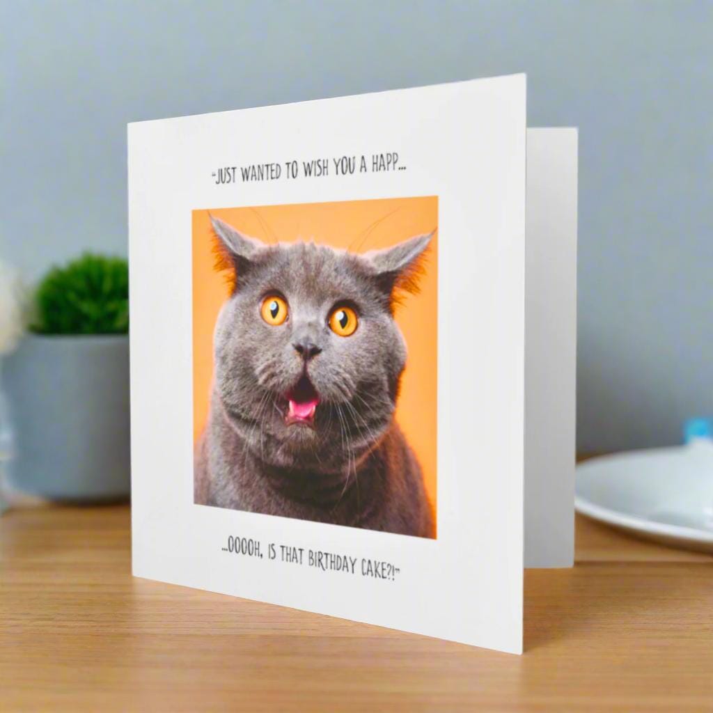 Funny Cat Birthday Card, Funny Cat Card, Humorous Cat Card, Quirky Cat ...