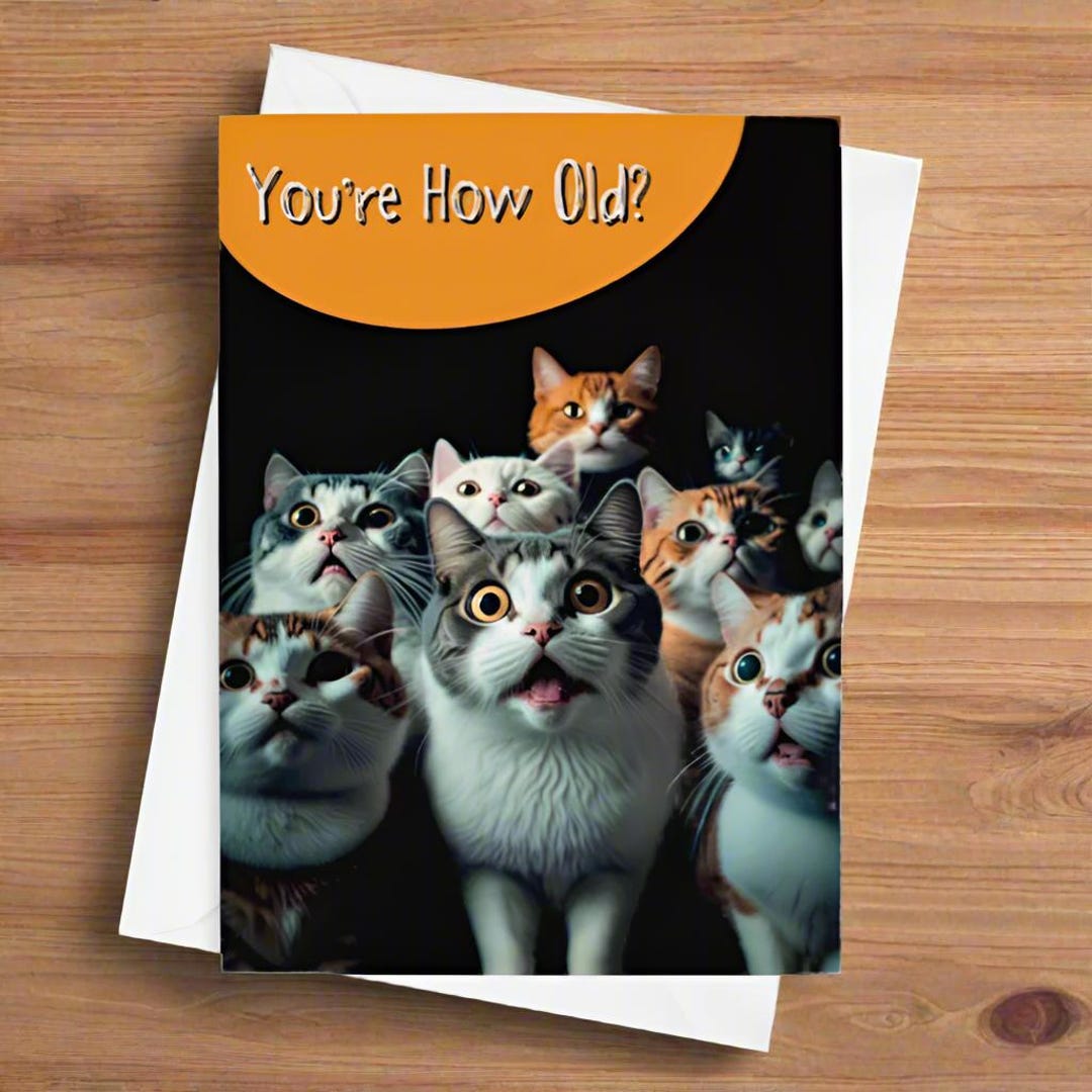 Funny Cat Birthday Card, Funny Cat Card, Humorous Cat Card, Quirky Cat ...
