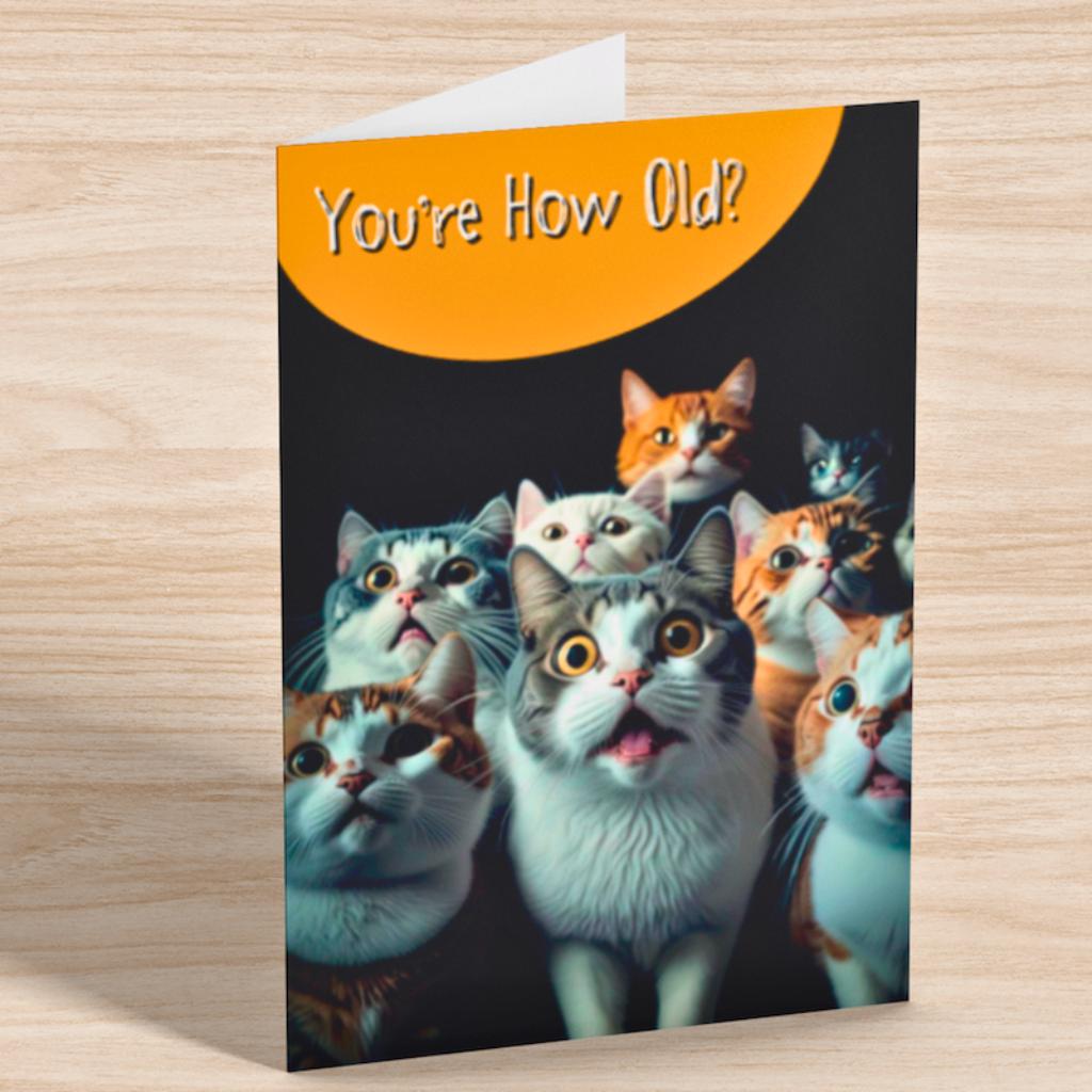 Funny Cat Birthday Card, Funny Cat Card, Humorous Cat Card, Quirky Cat ...