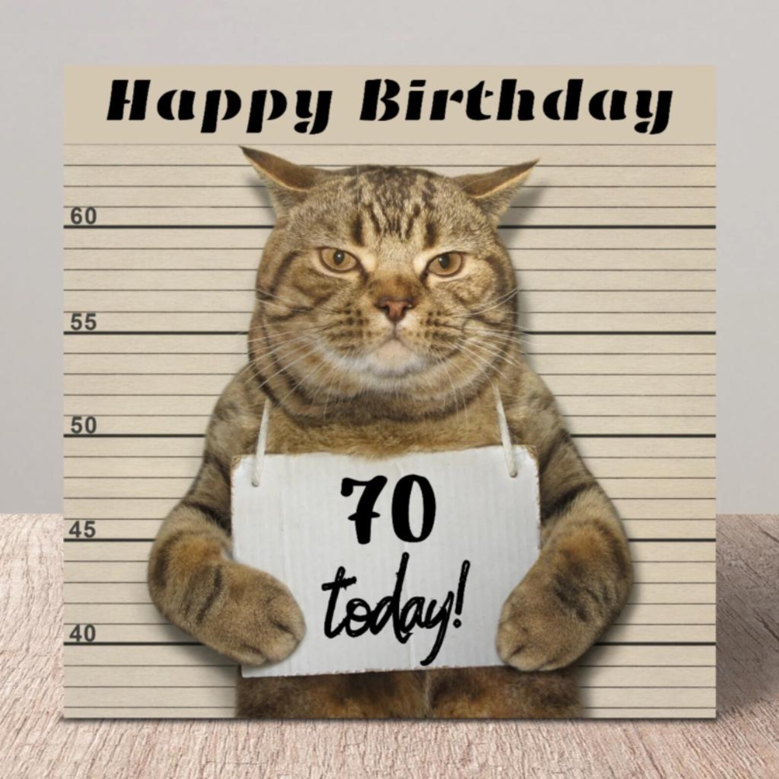 Funny Cat Birthday Card, Cat Card, Milestone Birthday Cards, Greeting ...