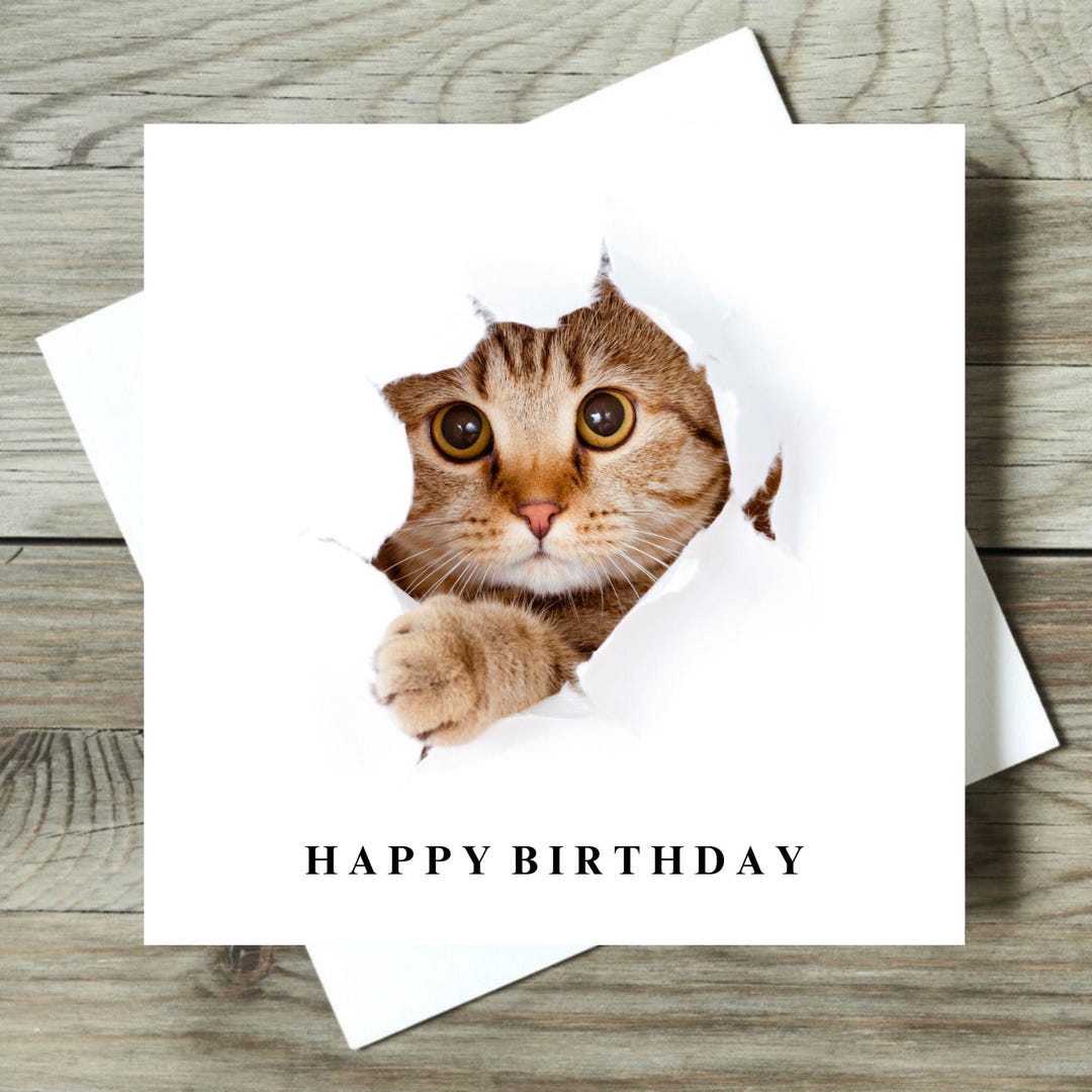 Funny Cat Birthday Card, Funny Cat Card, Humorous Cat Card, Quirky Cat ...