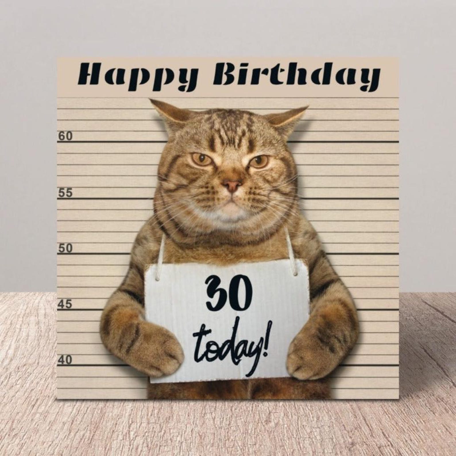 Funny Cat Birthday Card, Cat Card, Milestone Birthday Cards, Greeting ...