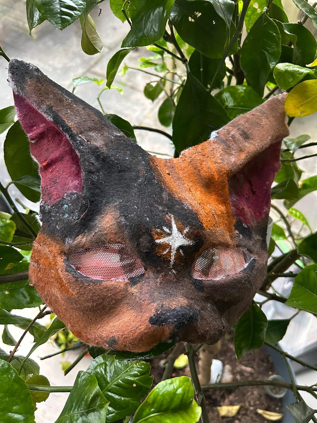 My Imaginary Friendz Star - Etsy
