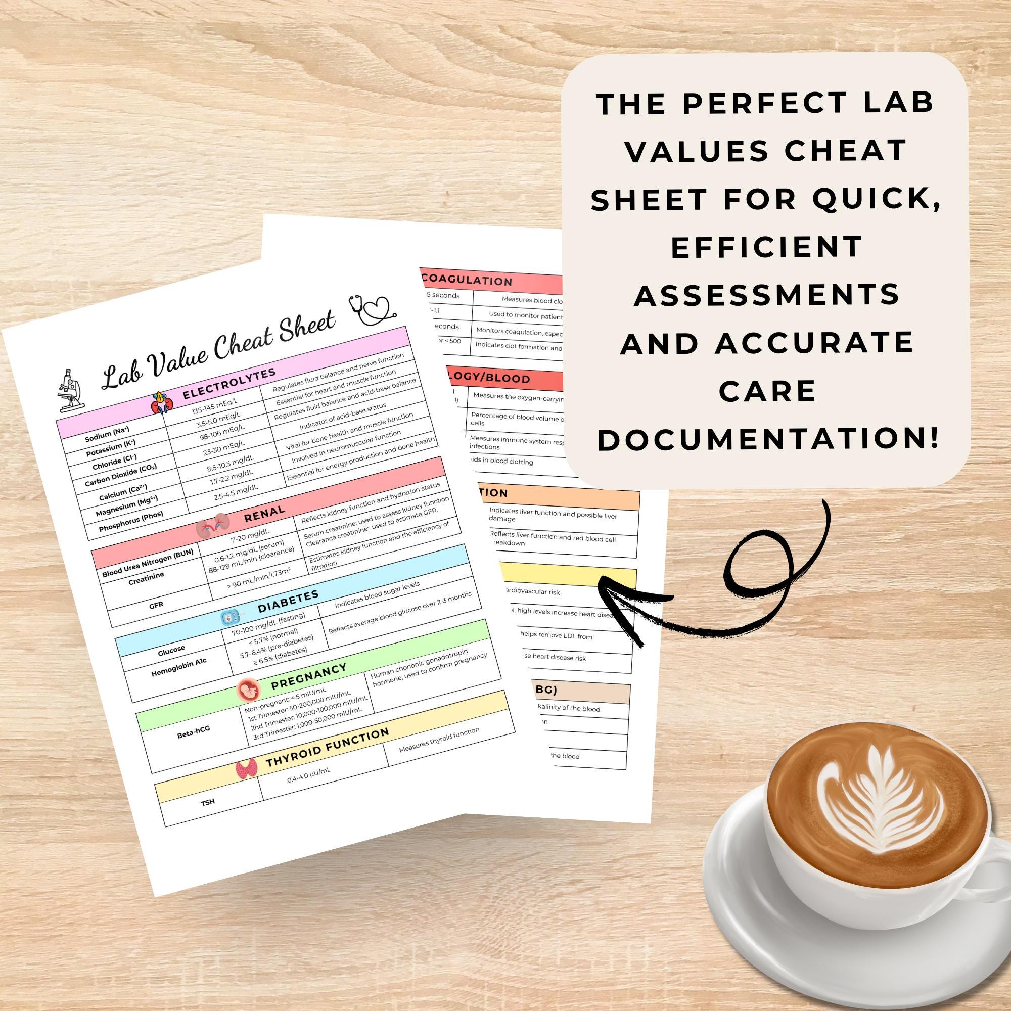 Hospice Nurse Cheat Sheet: Assessment Form & Lab Values (printable) - Etsy