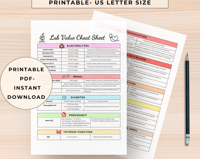 Hospice Assessment Form, Hospice Nurse Cheat Sheet, Hospice ...