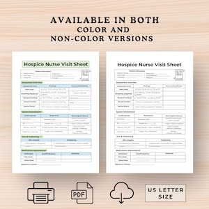 Hospice Nurse Cheat Sheet: Visit Assessment Form (PDF) - Etsy