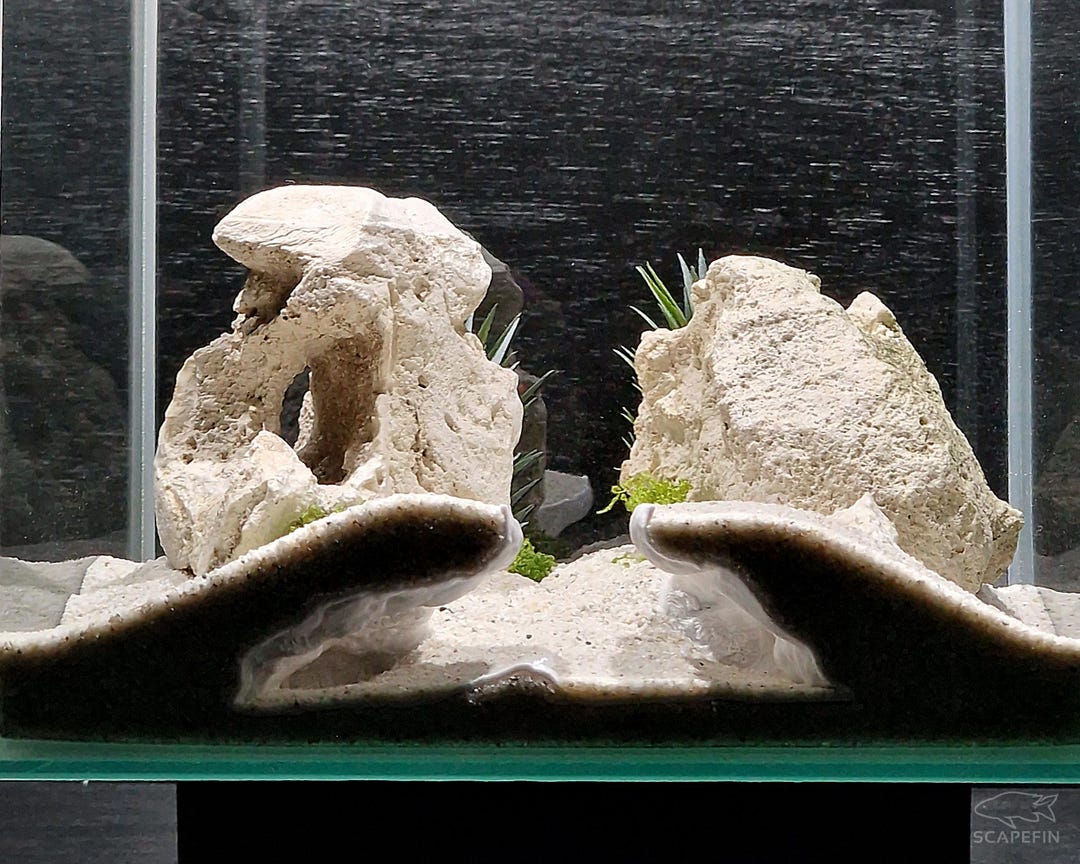 NEW! Severance Observation Cave | Aquarium & Terrarium Decor | Natural ...