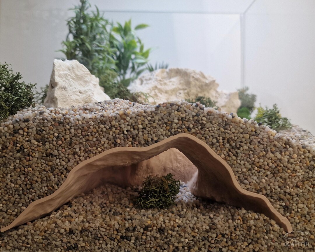 Corava Observation Cave | Aquarium & Terrarium Decor | Natural Hide for ...