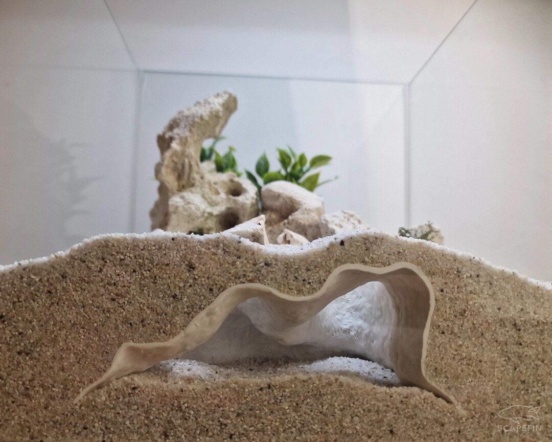 Mira Observation Cave | Aquarium & Terrarium Decor | Natural Hide for ...