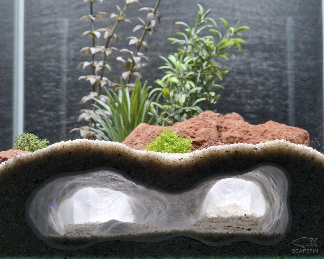NEW! Leviathan Observation Cave | Aquarium & Terrarium Decor | Natural ...