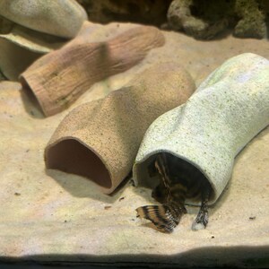 Pleco Log Cave | Natural Retreat for Breeding & Hiding in Aquariums ...