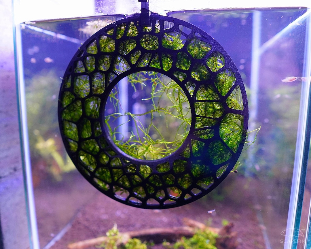 Donut Moss Grow-out Frame for Aquatic Plants & Tank Decor, Perfect for ...