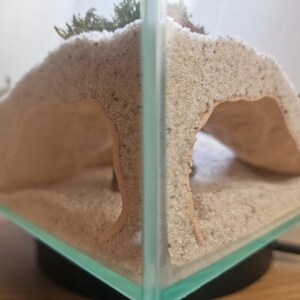 Corner Aquarium Cave: Riptide Observation Hide for Fish, Shrimp ...