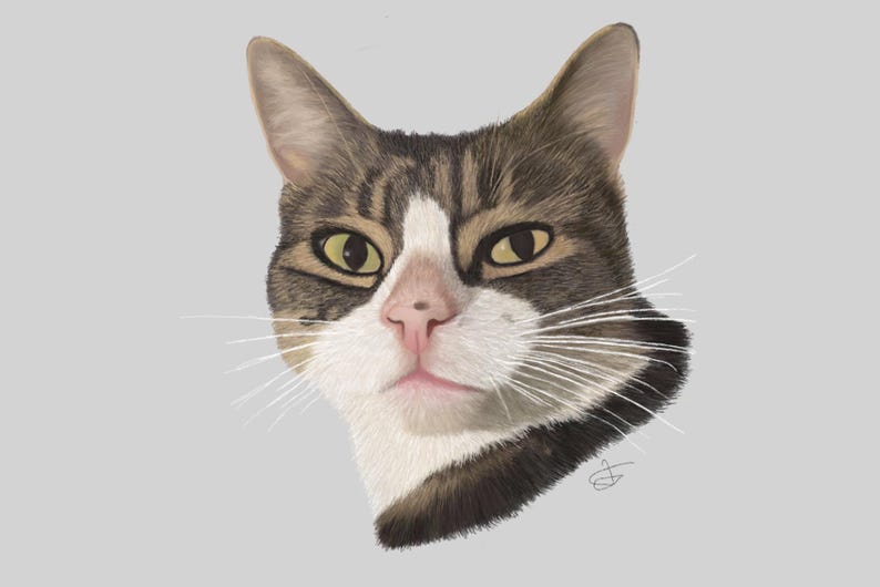 Digital Pencil Drawing Commission (framed) - Etsy