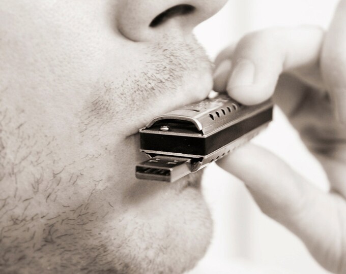 Harmonica Musical Instrument W Built-in USB Flash Drive, Flashharp Free ...