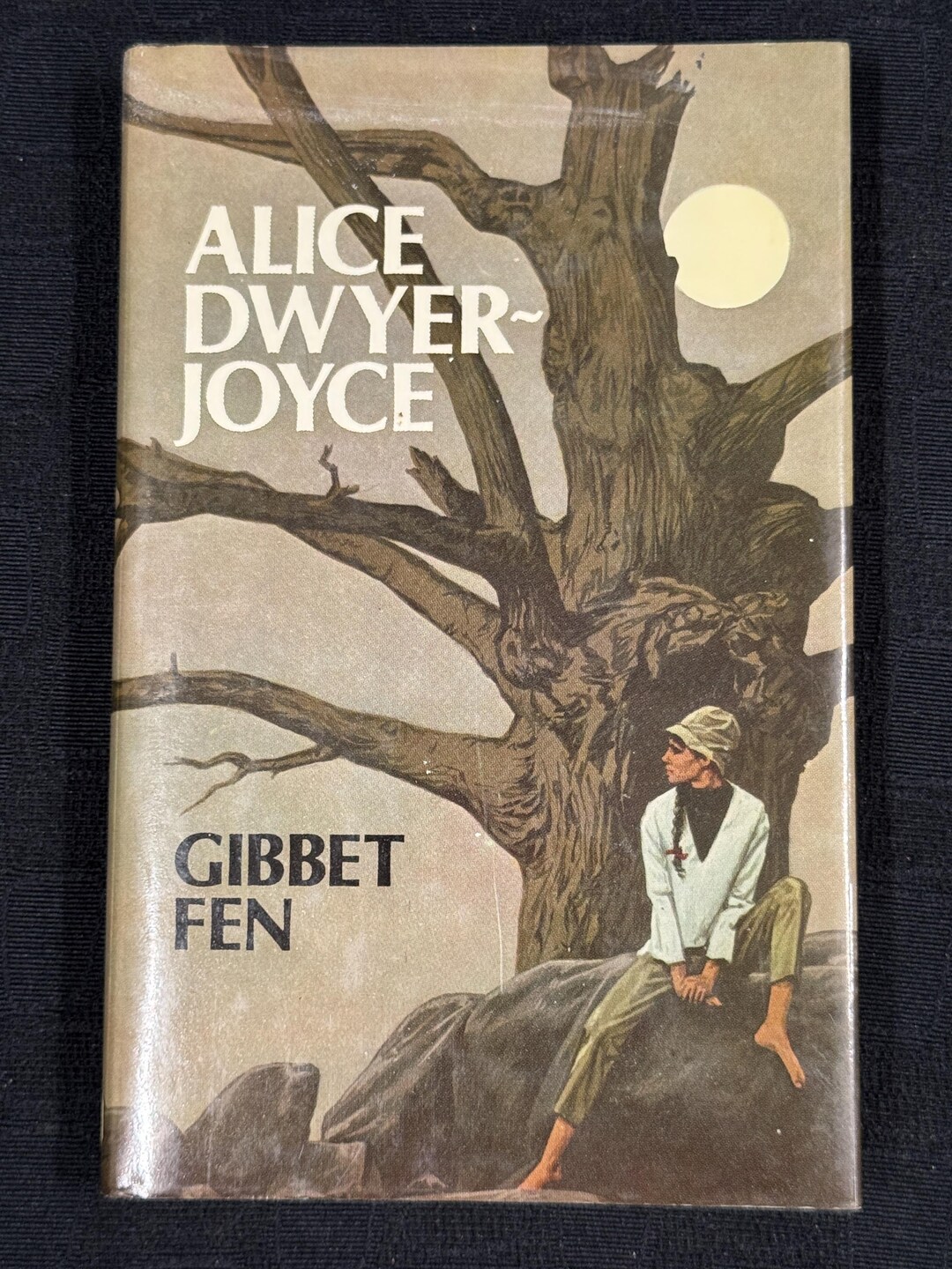 Gibbet Fen Book by Alice Dwyer-joyce Hardcover With Original Dust ...