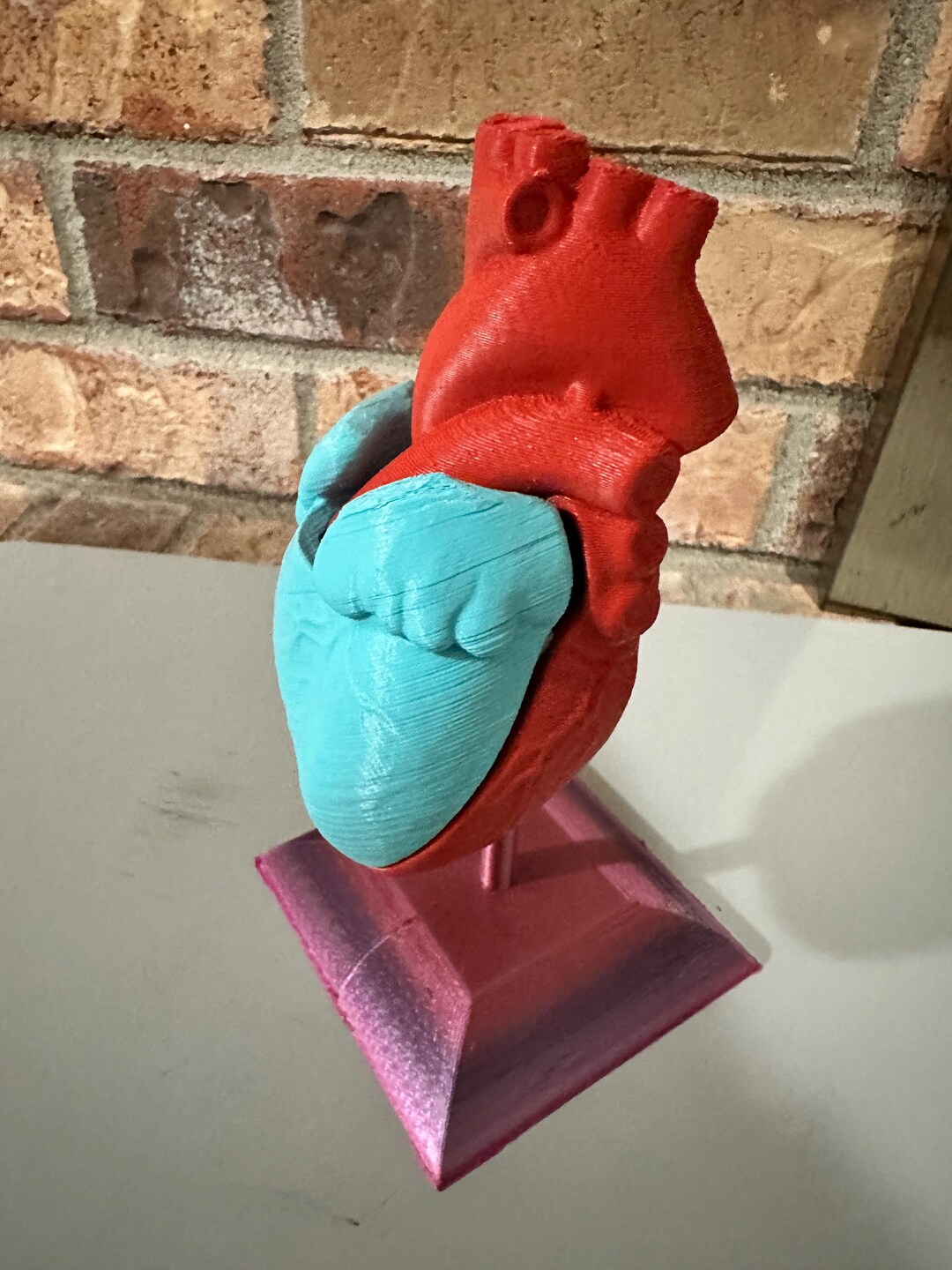 3D Print Anatomy Heart - Etsy