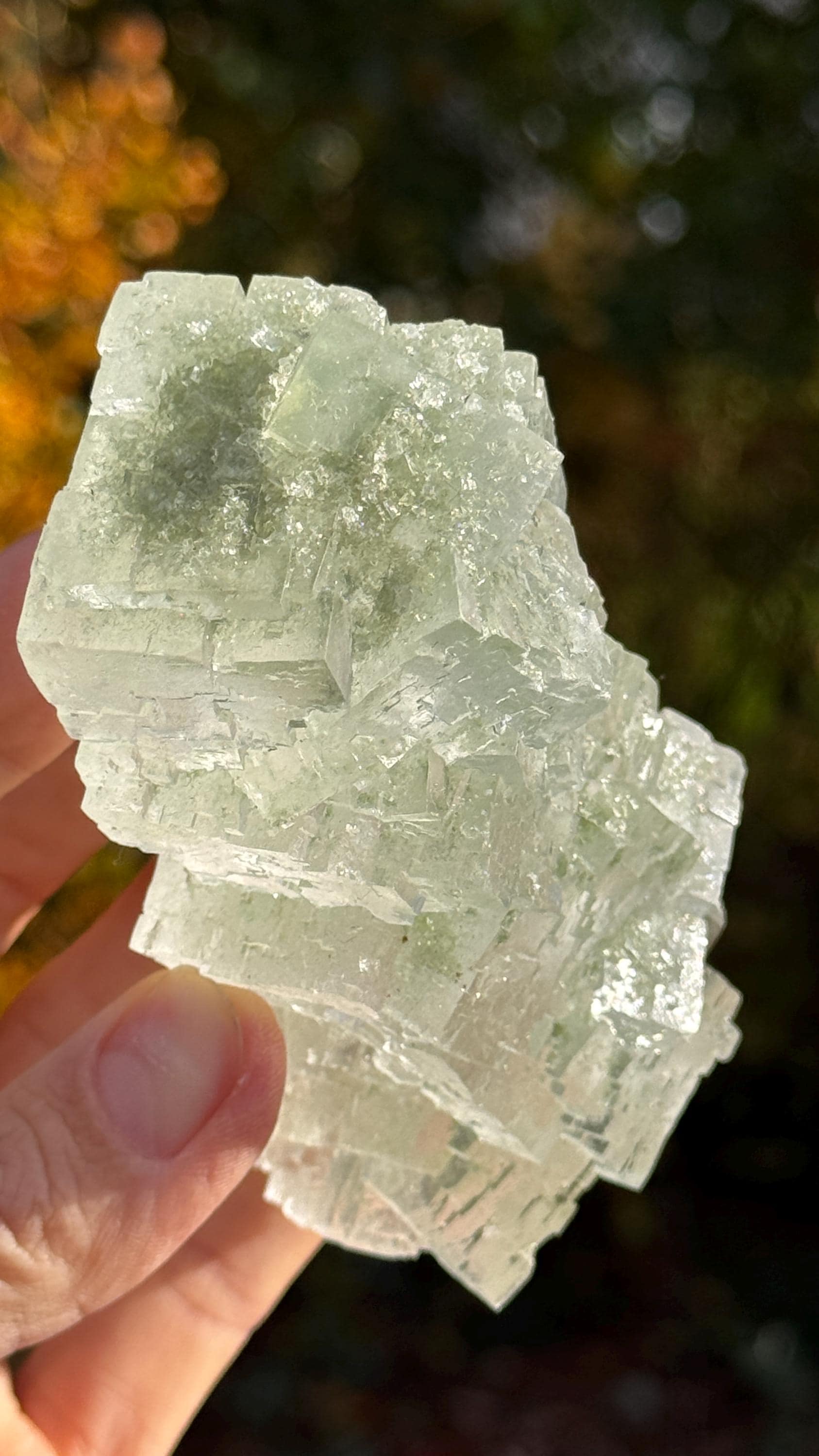 335g Natural Halite Crystal Cluster (galite) With Atacamite – Poland ...