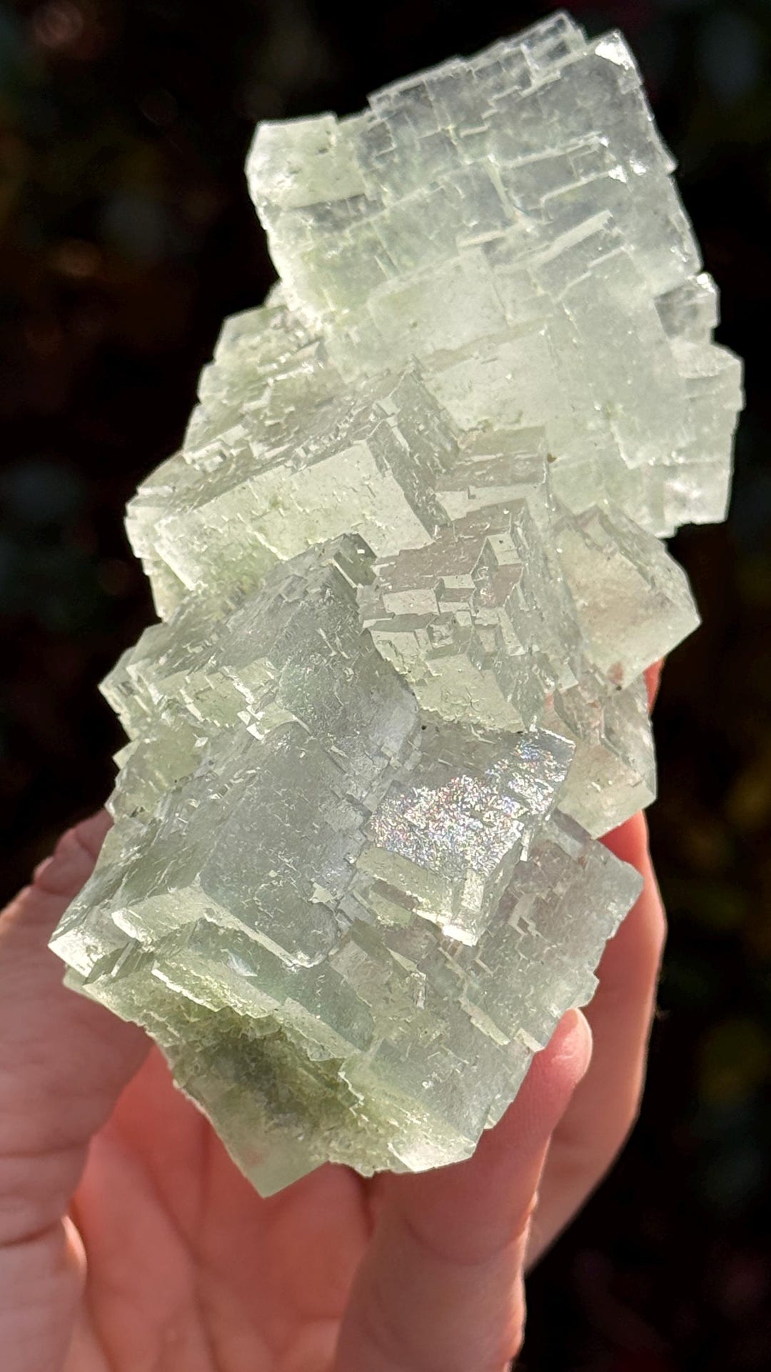 335g Natural Halite Crystal Cluster (galite) With Atacamite – Poland ...