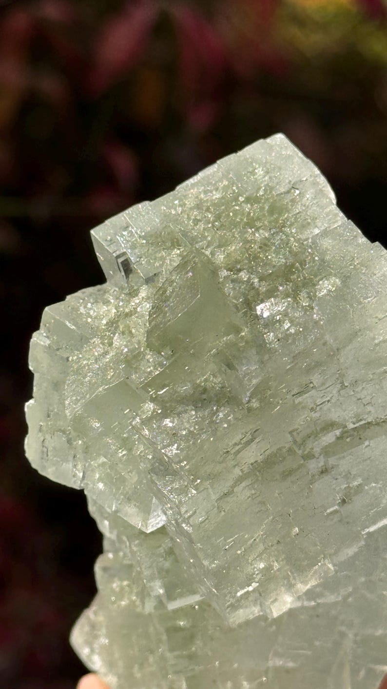 335g Natural Halite Crystal Cluster (galite) With Atacamite – Poland ...