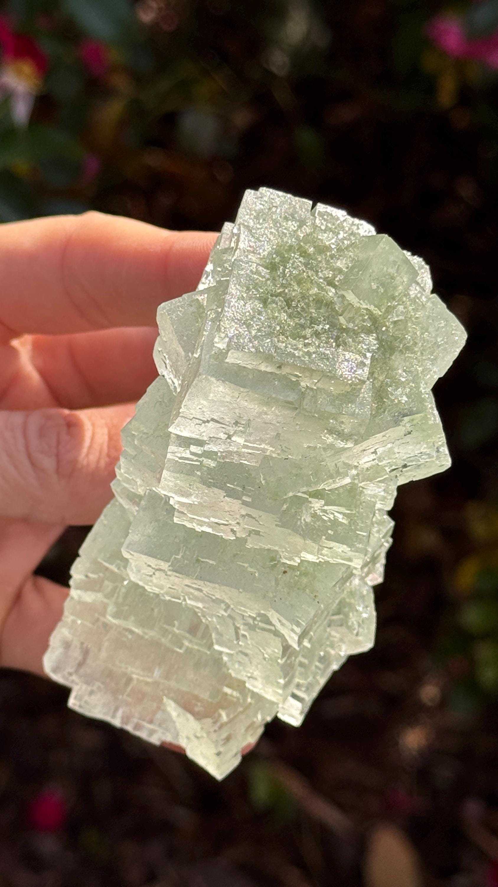 335g Natural Halite Crystal Cluster (galite) With Atacamite – Poland ...