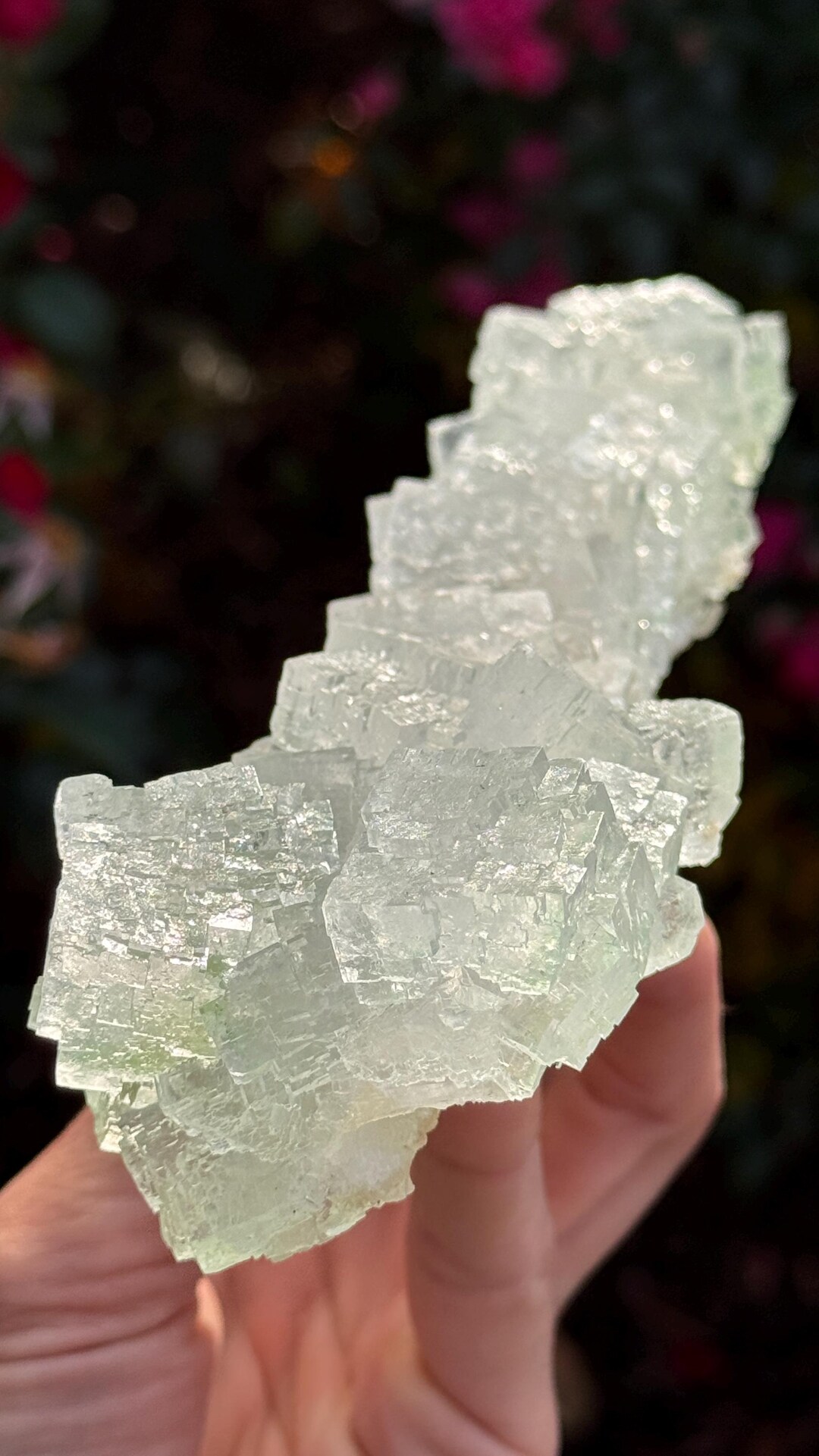 312g Natural Halite Crystal Cluster (galite) With Atacamite – Poland ...