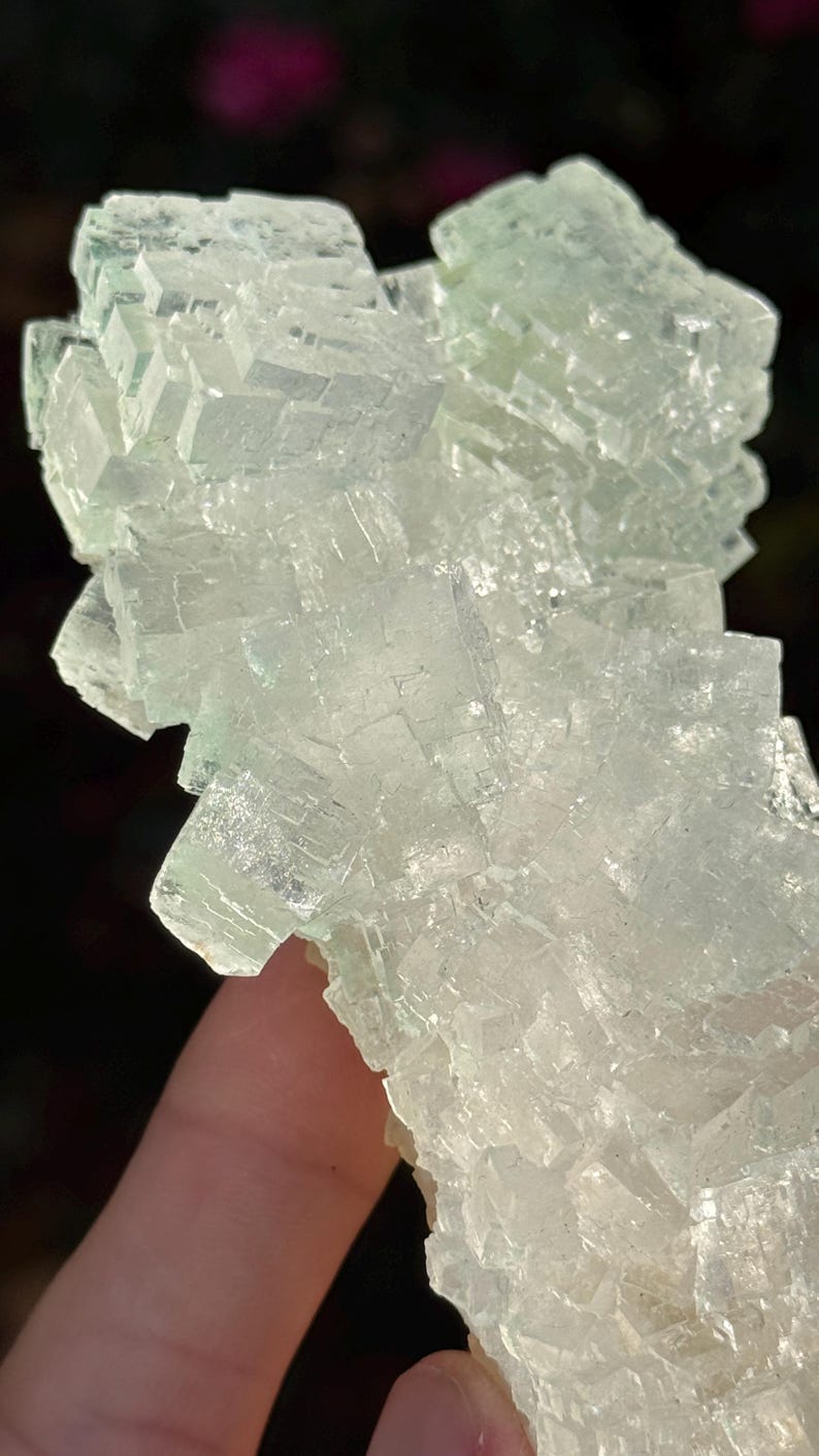 312g Natural Halite Crystal Cluster (galite) With Atacamite – Poland ...