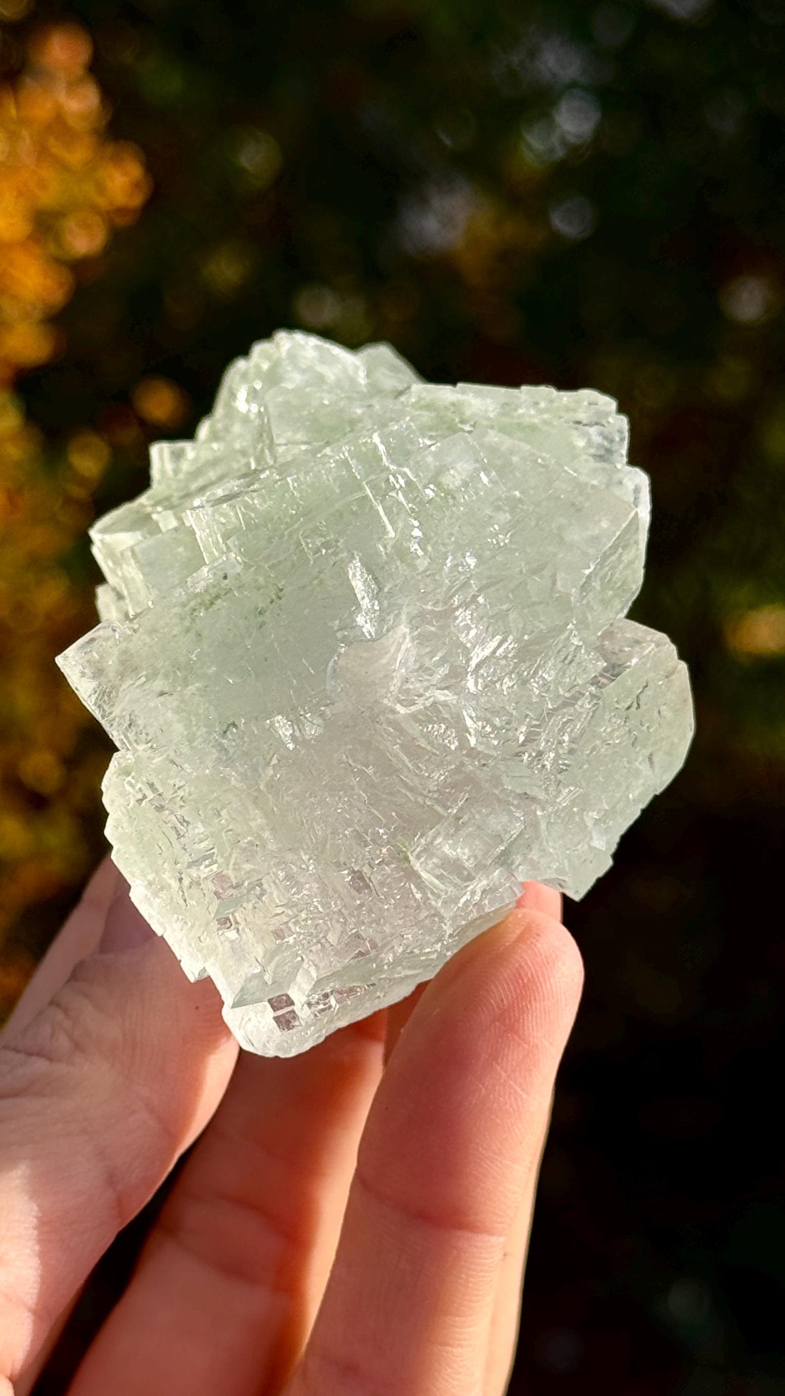 335g Natural Halite Crystal Cluster (galite) With Atacamite – Poland ...