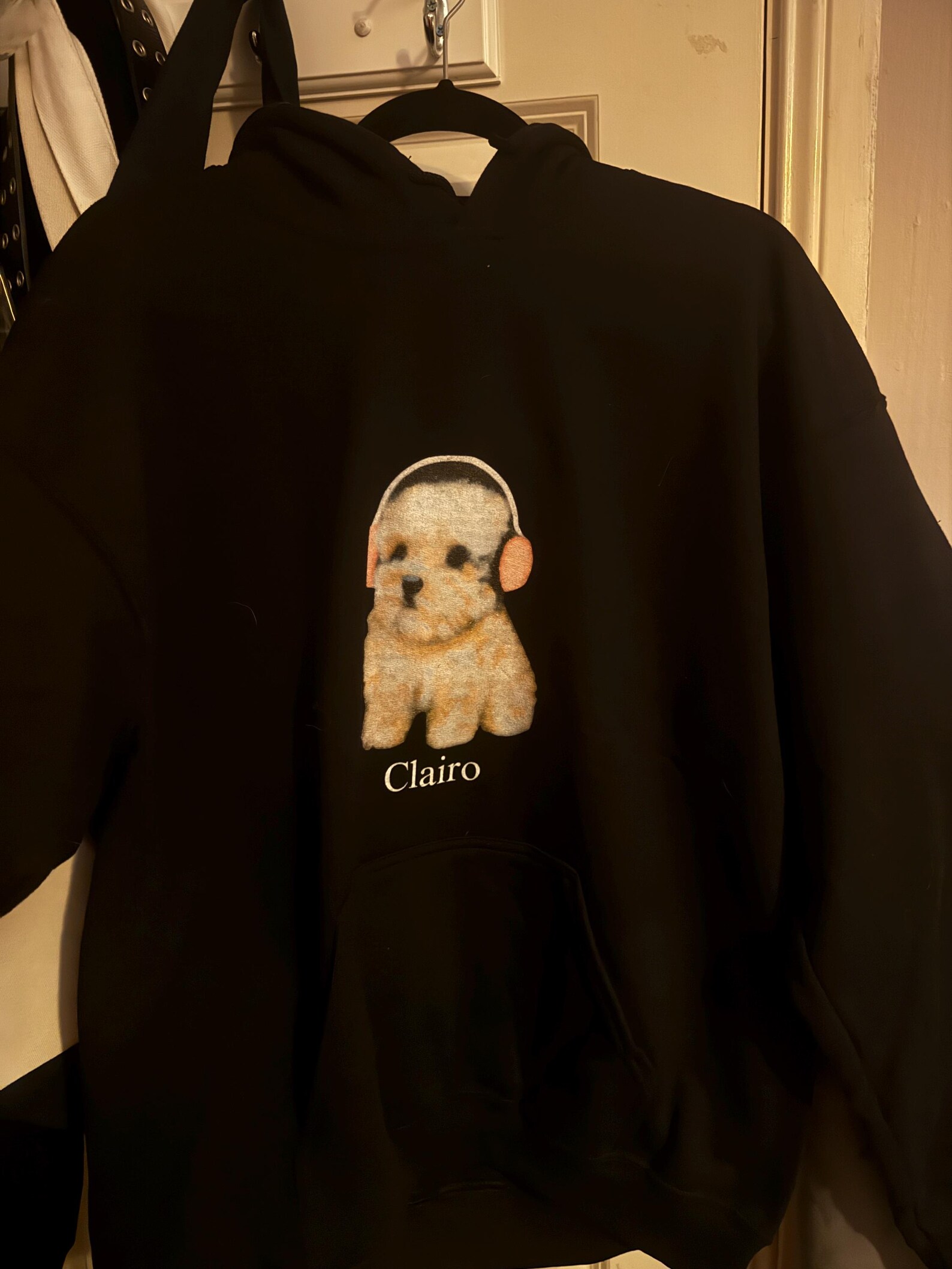 Clairo Dog With Headphones Hooded Jumper 3 - Etsy
