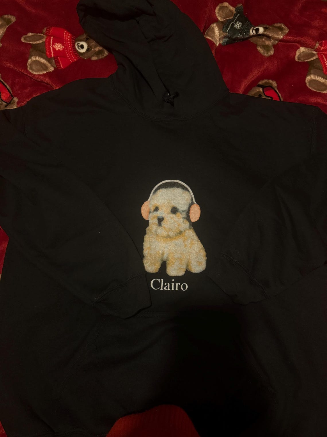 Clairo Dog With Headphones Hooded Jumper 3 - Etsy