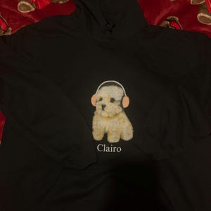 Clairo Dog With Headphones Hooded Jumper 3 - Etsy