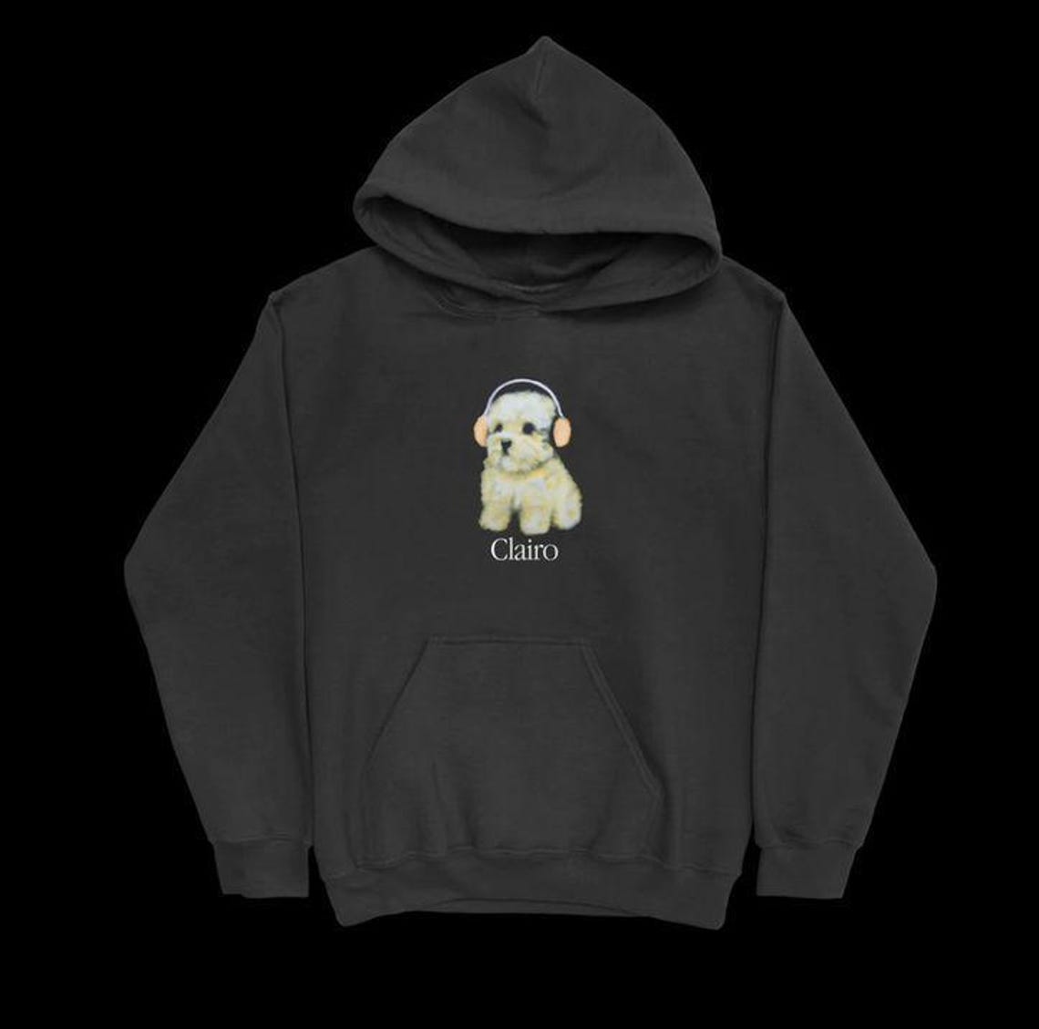Clairo Dog With Headphones Hooded Jumper 3 - Etsy