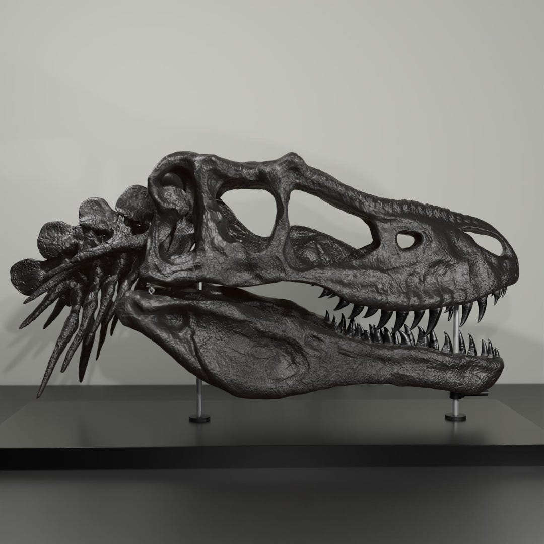 Albertosaurus Skull Handmade Dinosaur Sculpture 30CM 50CM With Great ...