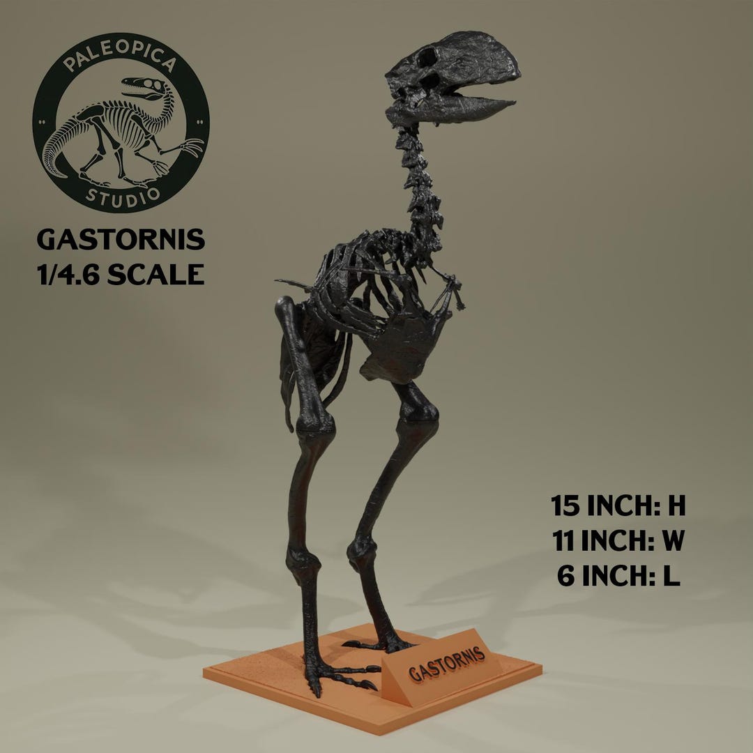 Gastornis Skeleton Gastornis Sculpture . Fossil Reproduction - Etsy