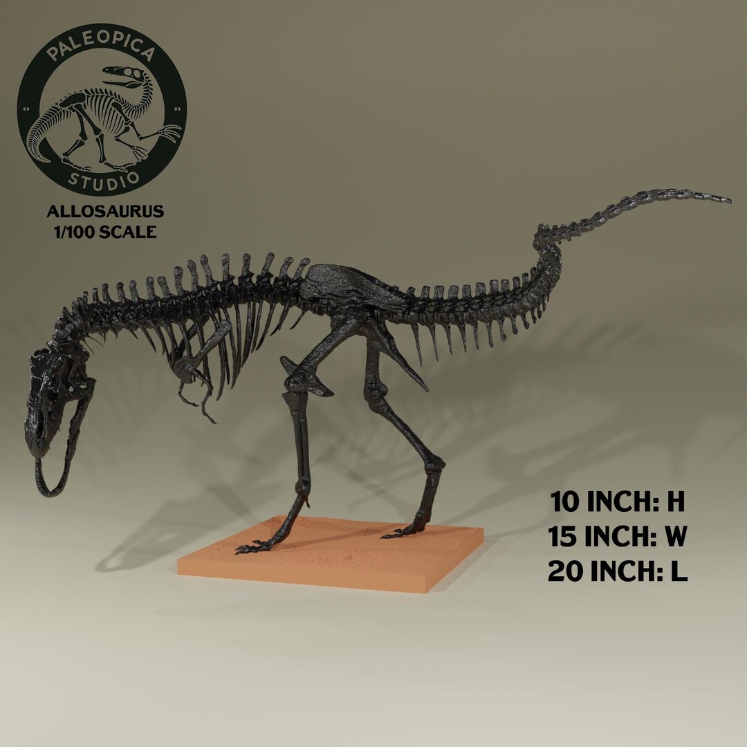 Allosaurus Skeleton Allosaurus Sculpture. Fossil Reproduction - Etsy Canada