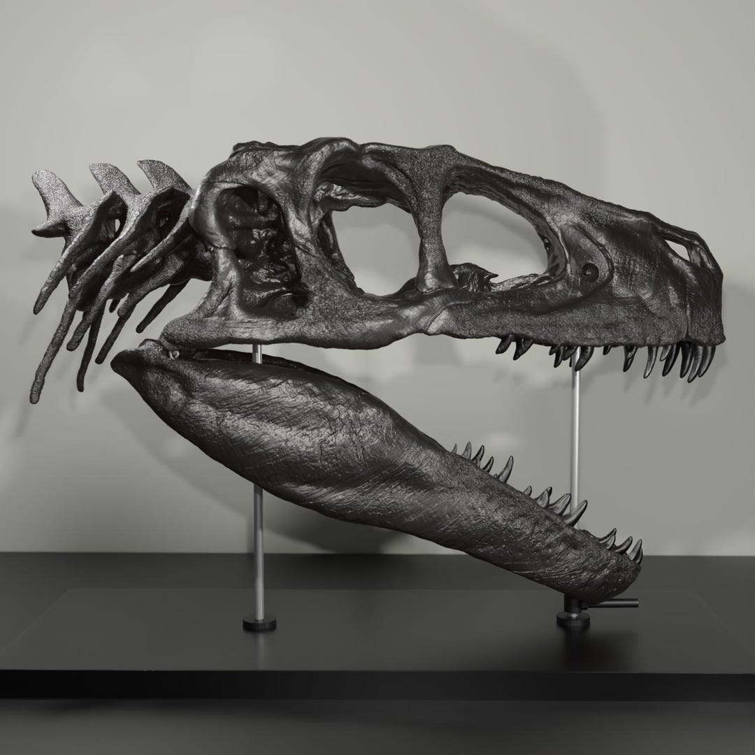 Utahraptor Skull Dinosaur Sculpture Handcrafted 30CM 50CM High Detail ...