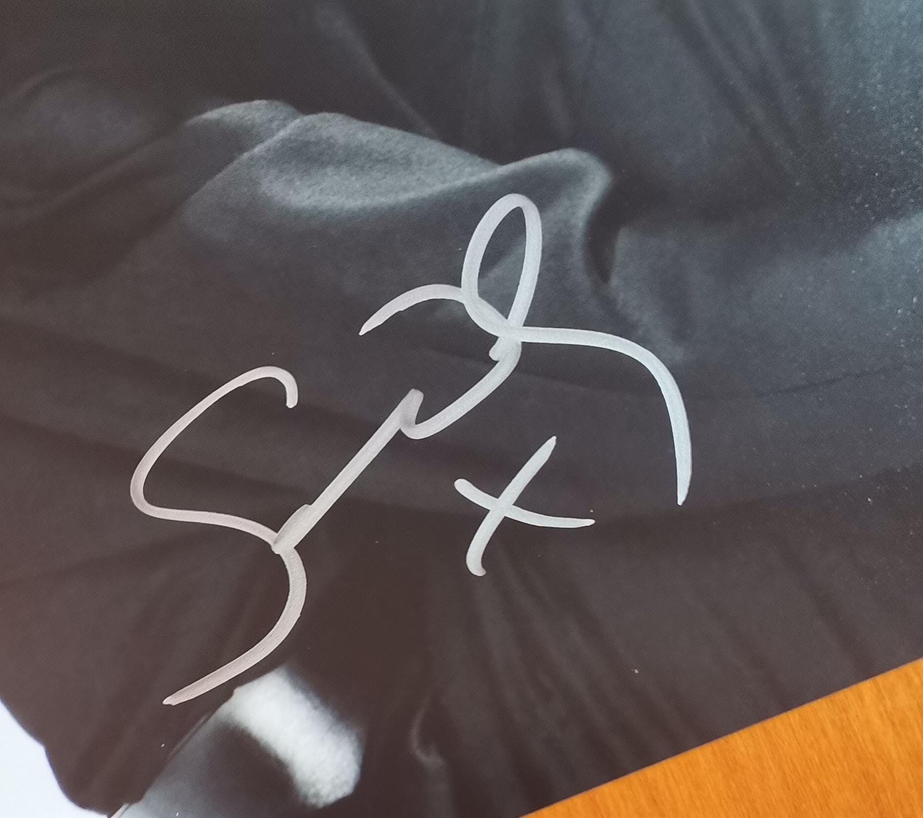 Sade, Signed Autographed Photo 10x8, Cherish the Day - Etsy