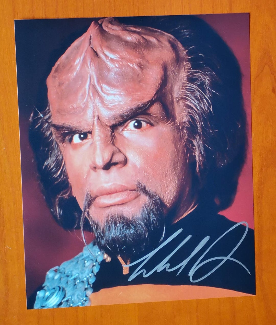 Michael Dorn, Autograph Original Signed, 10x8 In, Star Trek, Lieutenant ...