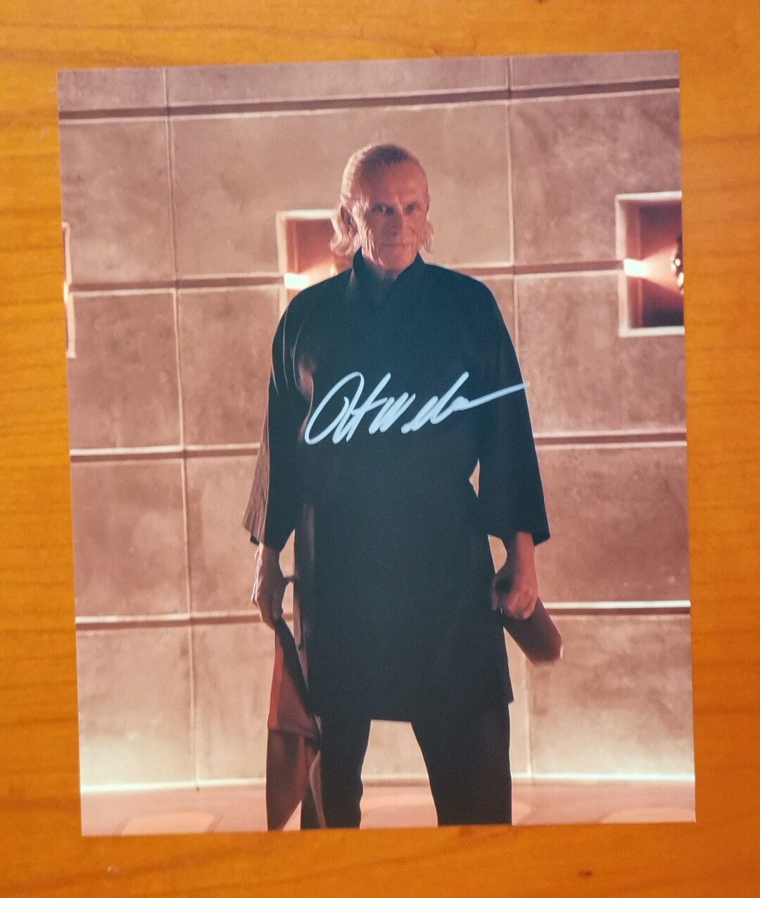 Peter Weller, Autograph Original Signed, 10x8 In, Robocop - Etsy