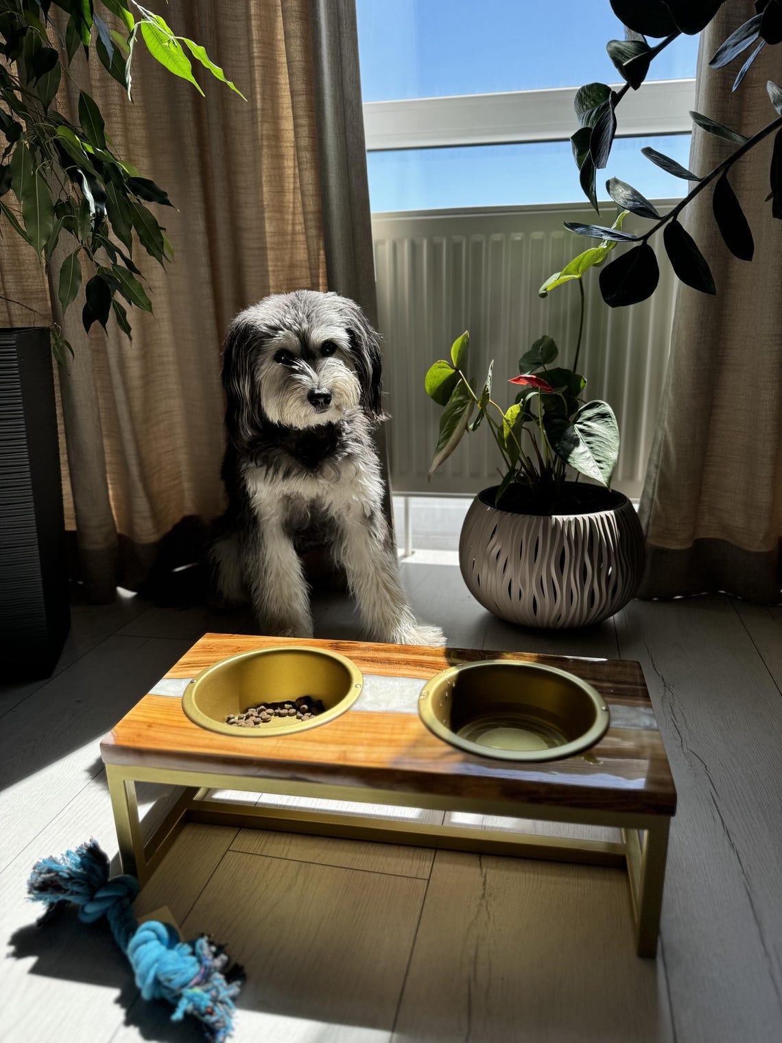 Epoxy Wooden Elevated Pet Feeder, Raised Pet Stand, Luxury Cat Feeding ...