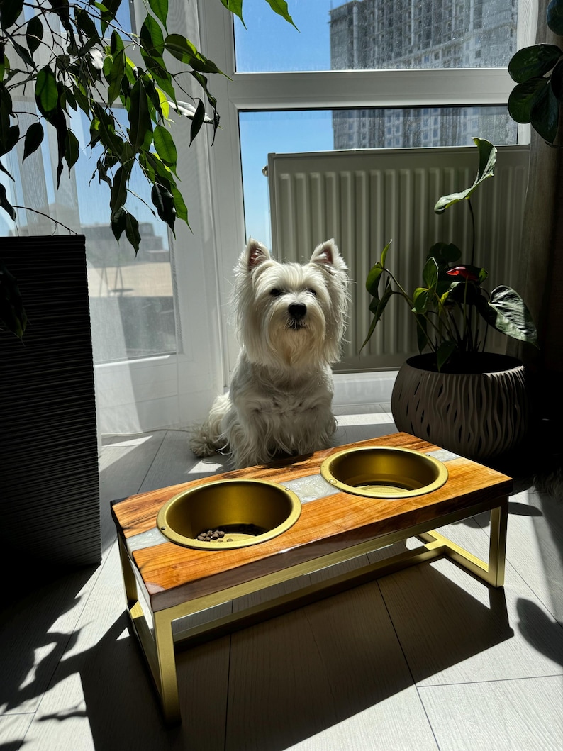 Epoxy Wooden Elevated Pet Feeder, Raised Pet Stand, Luxury Cat Feeding ...