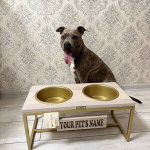Personalized Elevated Cat Table, Feeding Station for Large and Small ...