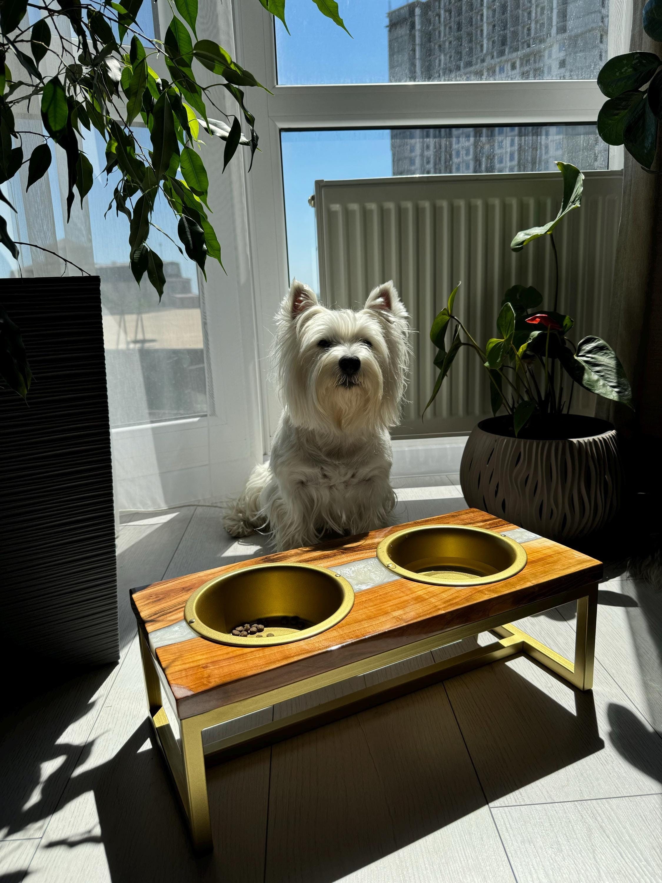Elevated Dog Feeding Station, Premium Wood and Epoxy Raised Pet Stand ...
