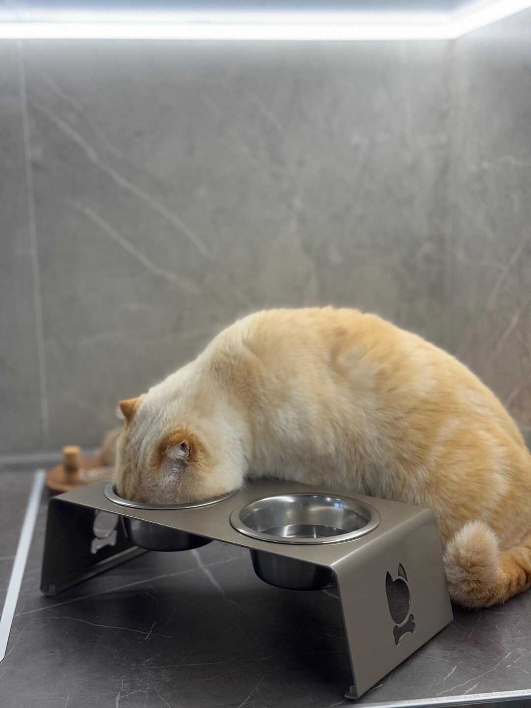 Personalized Elevated Cat Table, Feeding Station for Large and Small ...
