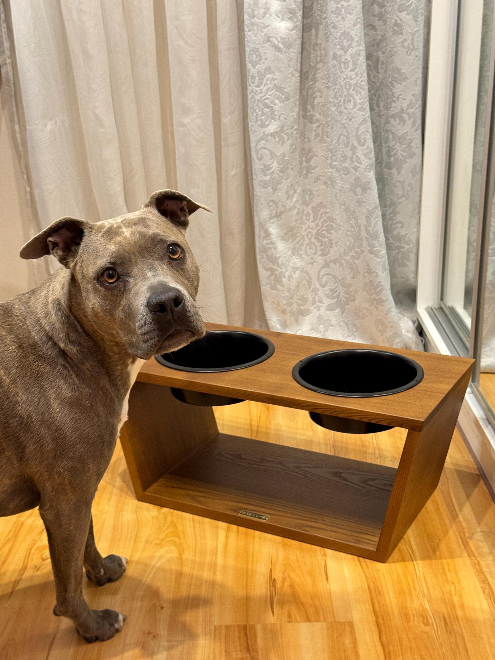 Oak Wood Dog Feeding Table, Elevated Cat Bowl, Minimalist Station With ...