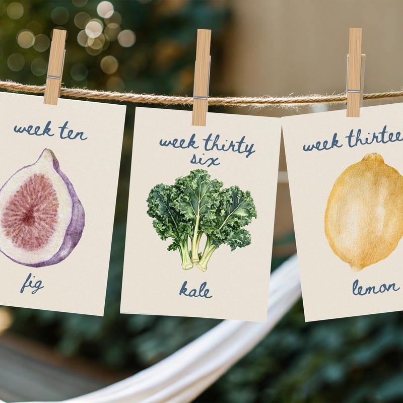 Baby Chart Fruit Size - Etsy