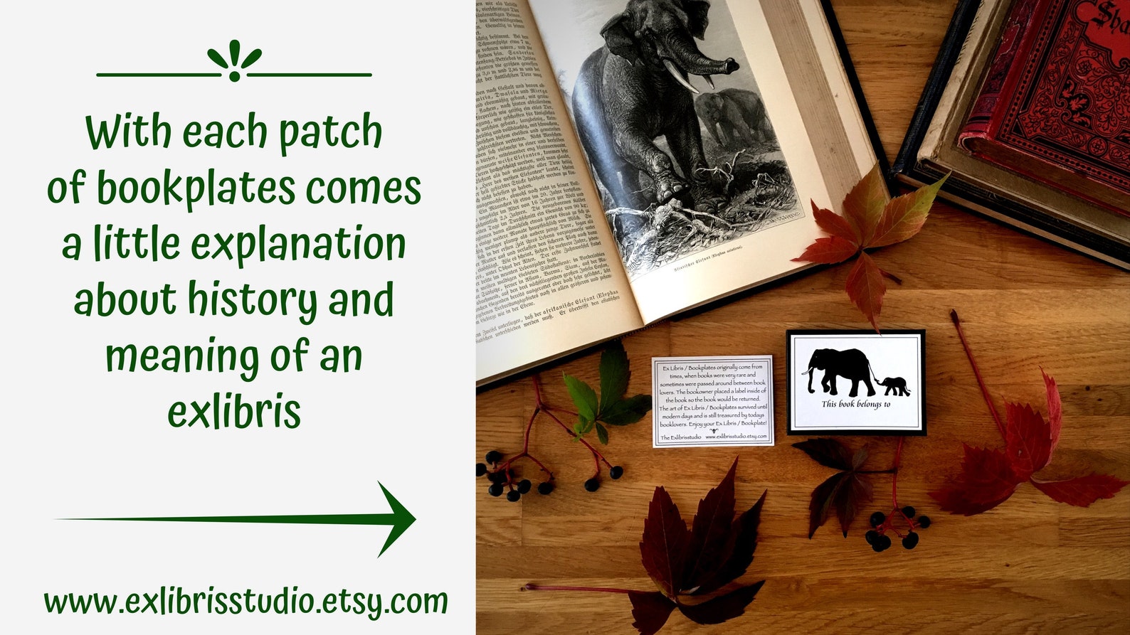 Ex Libris Sticker Art Nouveau Forest, Set of 50 Custom Bookplates, Book ...