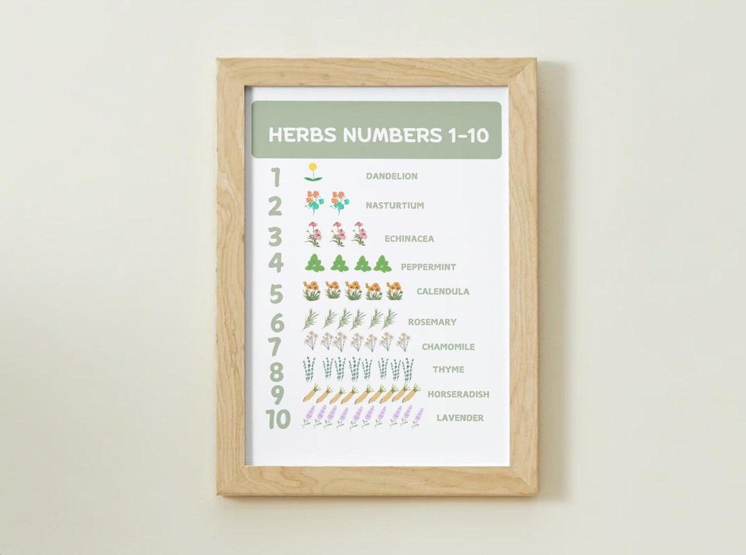Numbers Poster 1-10 Count to 10 Herbs Classroom Posters Homeschool ...