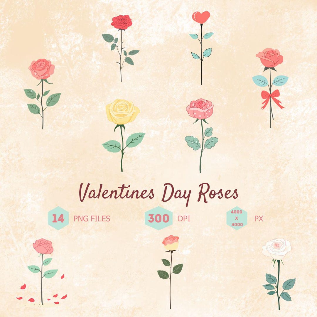 Valentines Day Roses Clipart Bundle Digital Download, 14 PNG Files ...